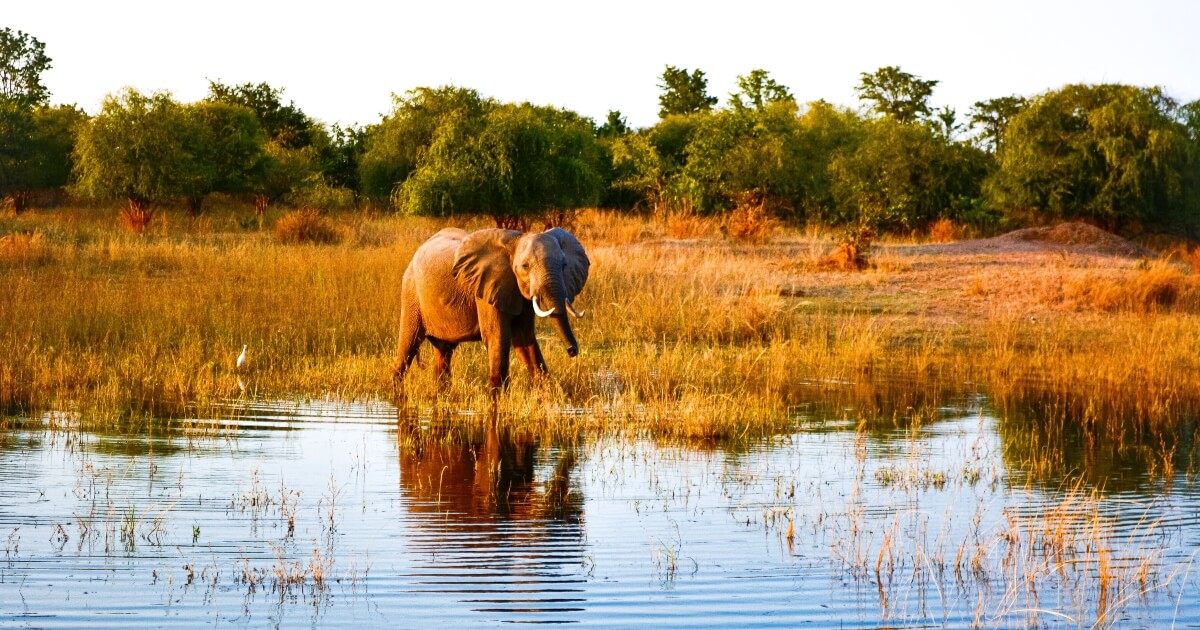 Quand partir au Zimbabwe pour profiter de la nature luxuriante?